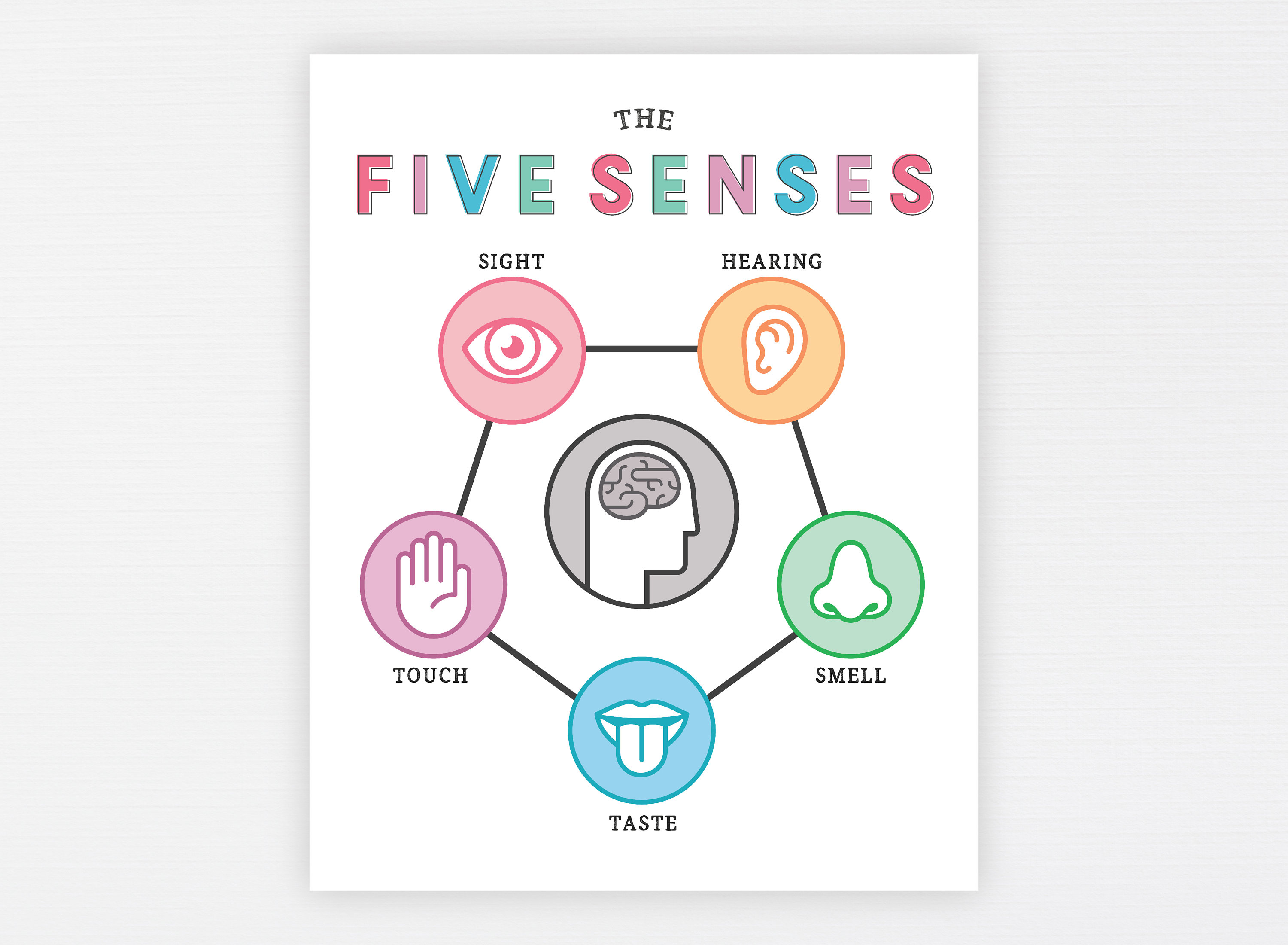 The Five Senses Education Printable Homeschool Learning - Etsy UK