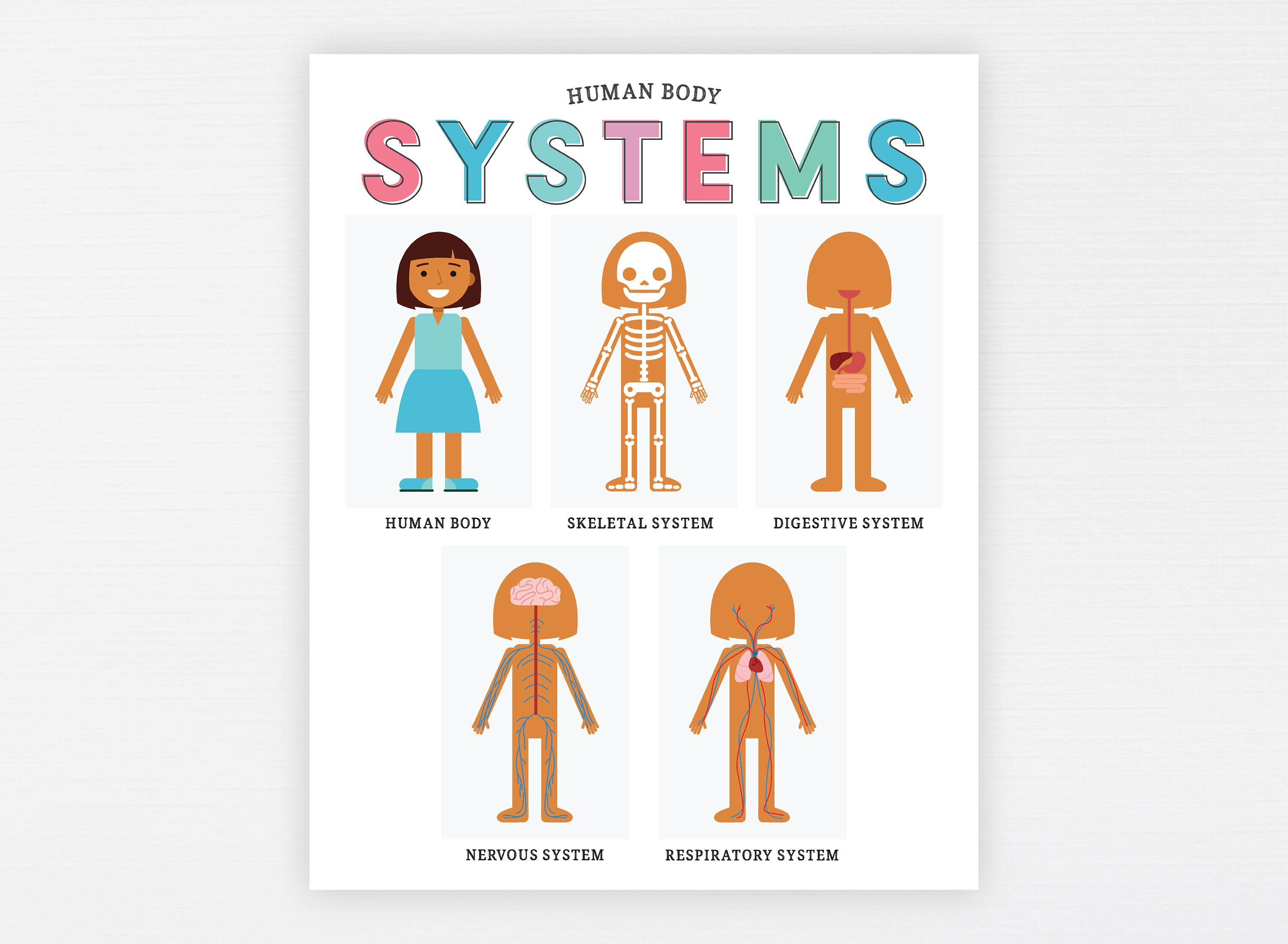 Human Body Systems Education Printable Homeschool Learning | Etsy