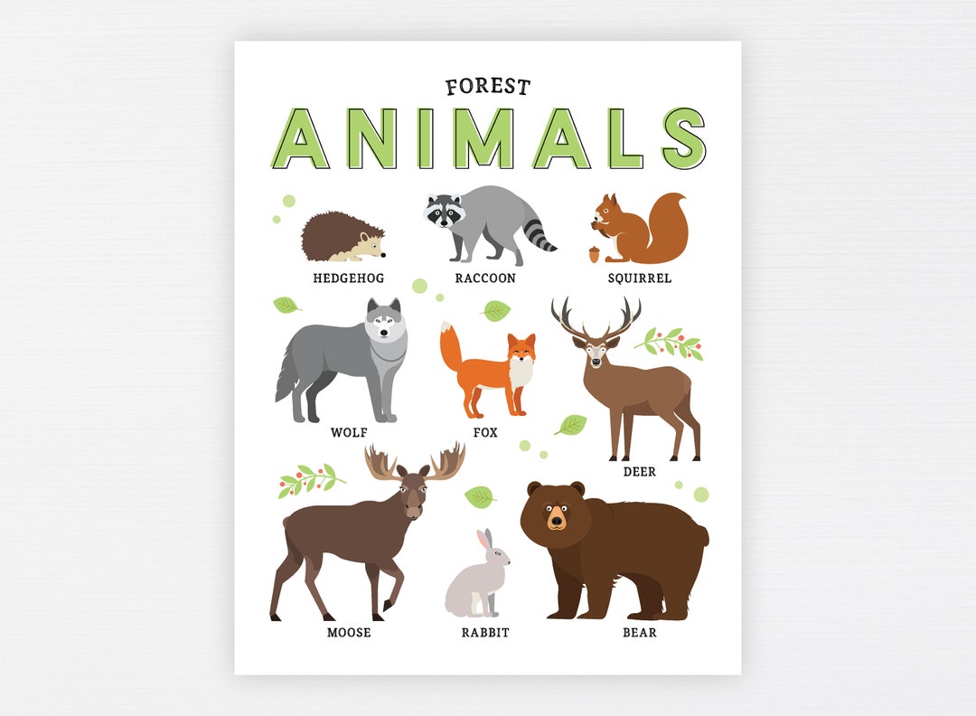 Forest Woodland Animals Education Printable Homeschool - Etsy