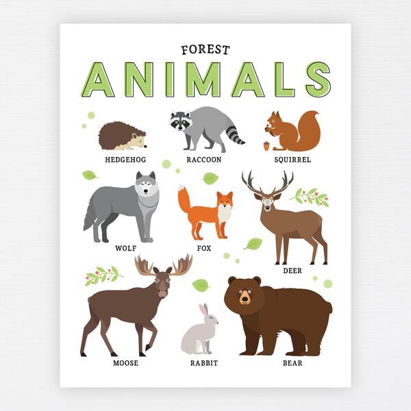 Forest Animal - Etsy