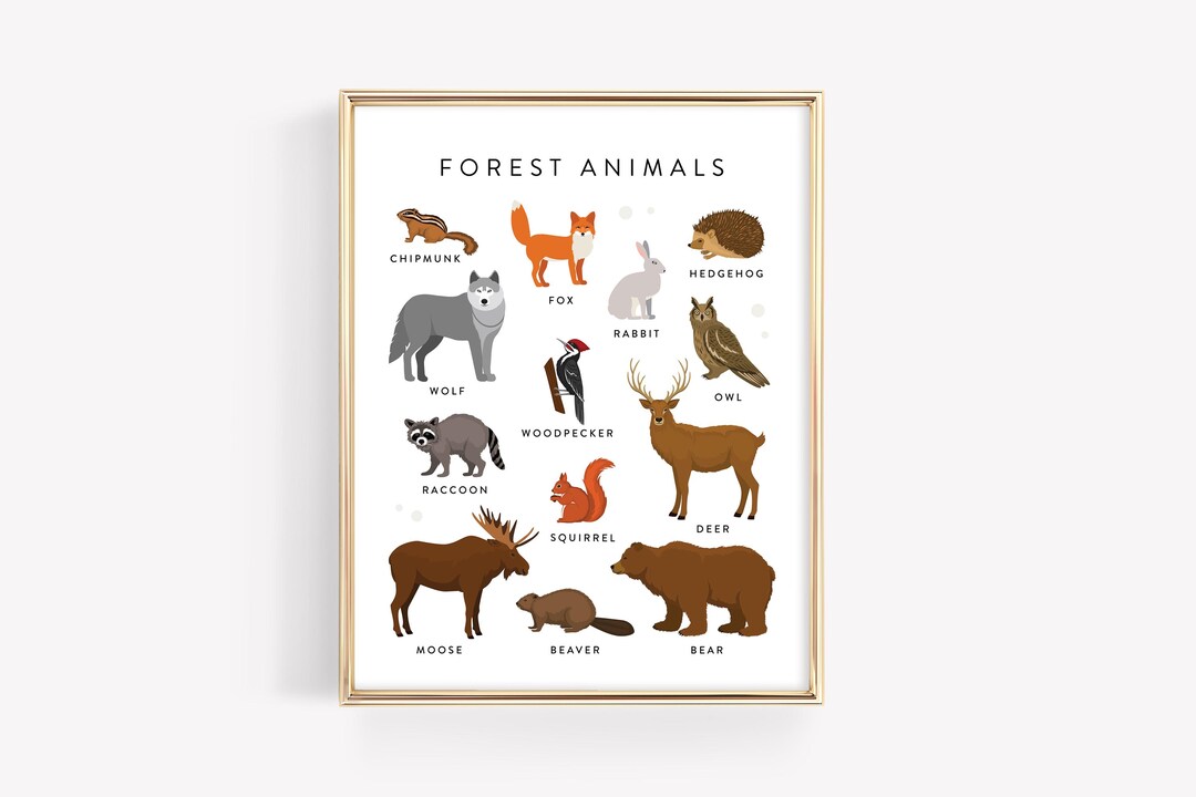 Forest Woodland Animals Education Printable · Homeschool Learning ...