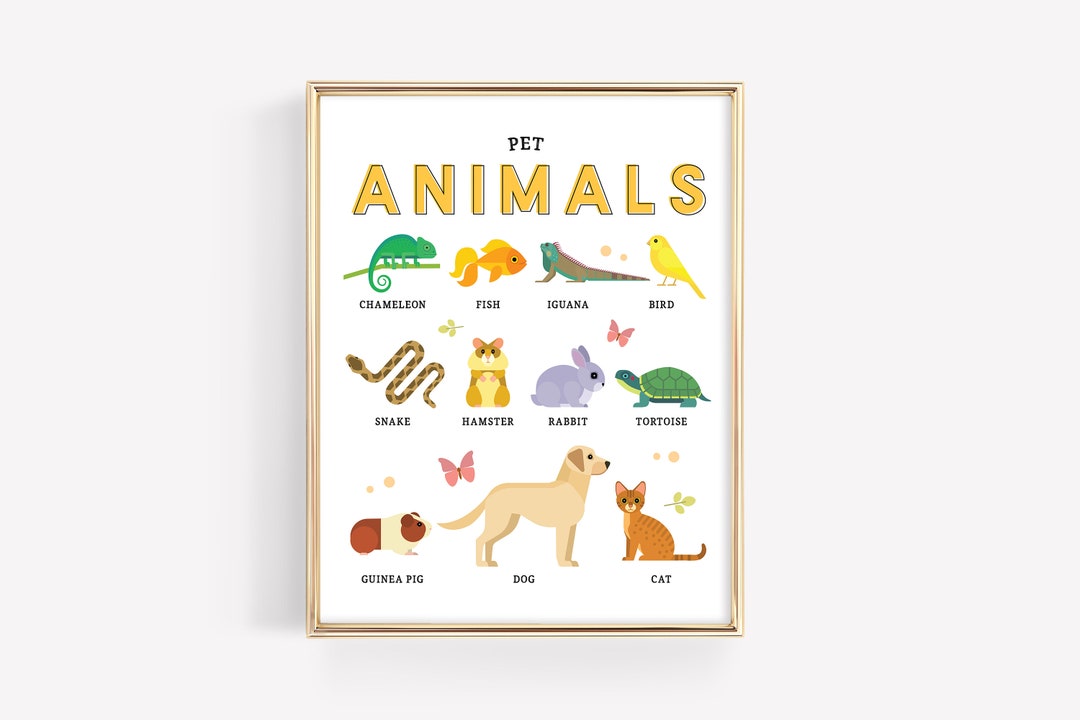 Pet Animals Education Printable · Homeschool Learning Montessori ...