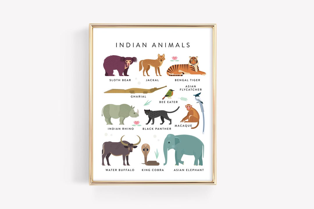 Asian Indian Animals Education Printable · Homeschool Learning ...