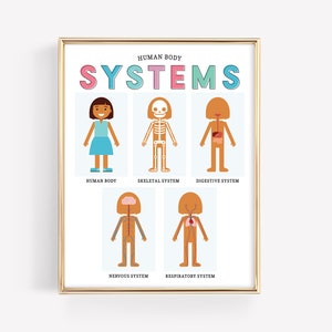 Human Body Systems Education Printable Homeschool Learning Montessori ...