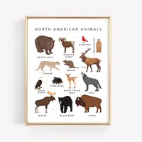 Wild Boar Watercolor Clipart | Printable Animal Designs (digital ...