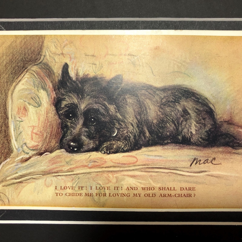 Cairn Terrier Postcard - Etsy