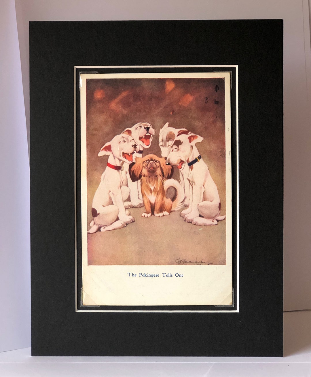 Vintage Studdy Postcard Pekingese Funny Dog Character 1920S George ...