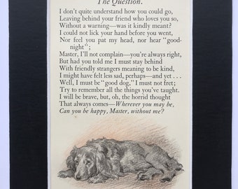 Springer Spaniel Poem - Etsy