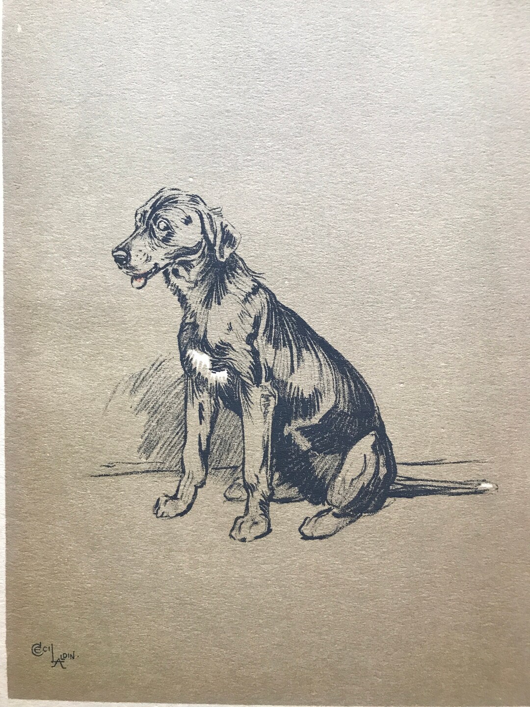 Labrador Stray Mongrel Snob Dog Cecil Aldin 1904 Dog Signed Dog Plate ...