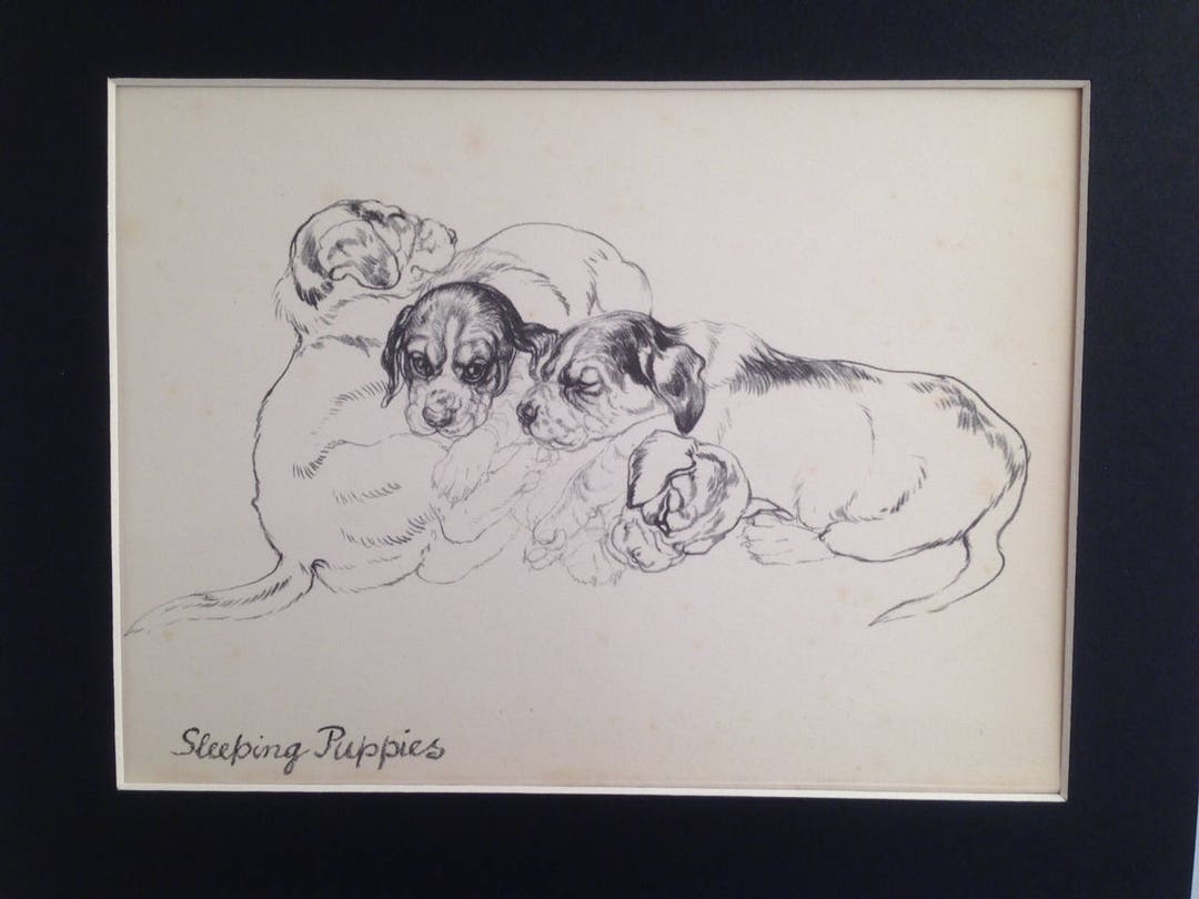 1937 Hound Dogs Vintage Mounted Vere Temple Dog Plate Print Sketches ...