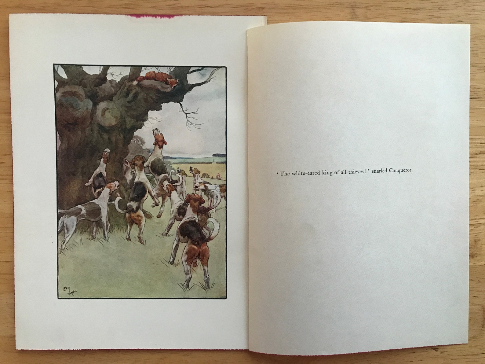 1912 FOX White Ear Signed Mounted Cecil Aldin Fox Hunting Pack Hound ...
