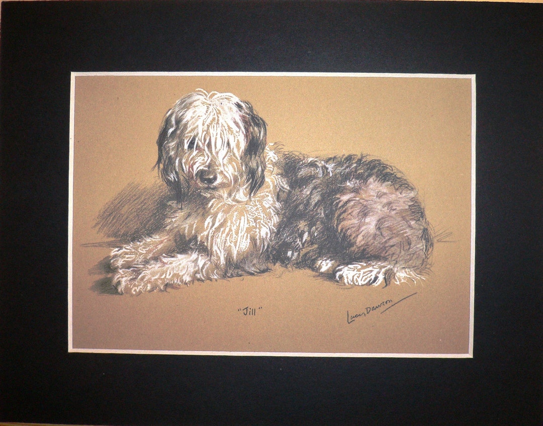 Lucy Dawson Old English Sheepdog Print, Matted Dog Art (1946) - Etsy