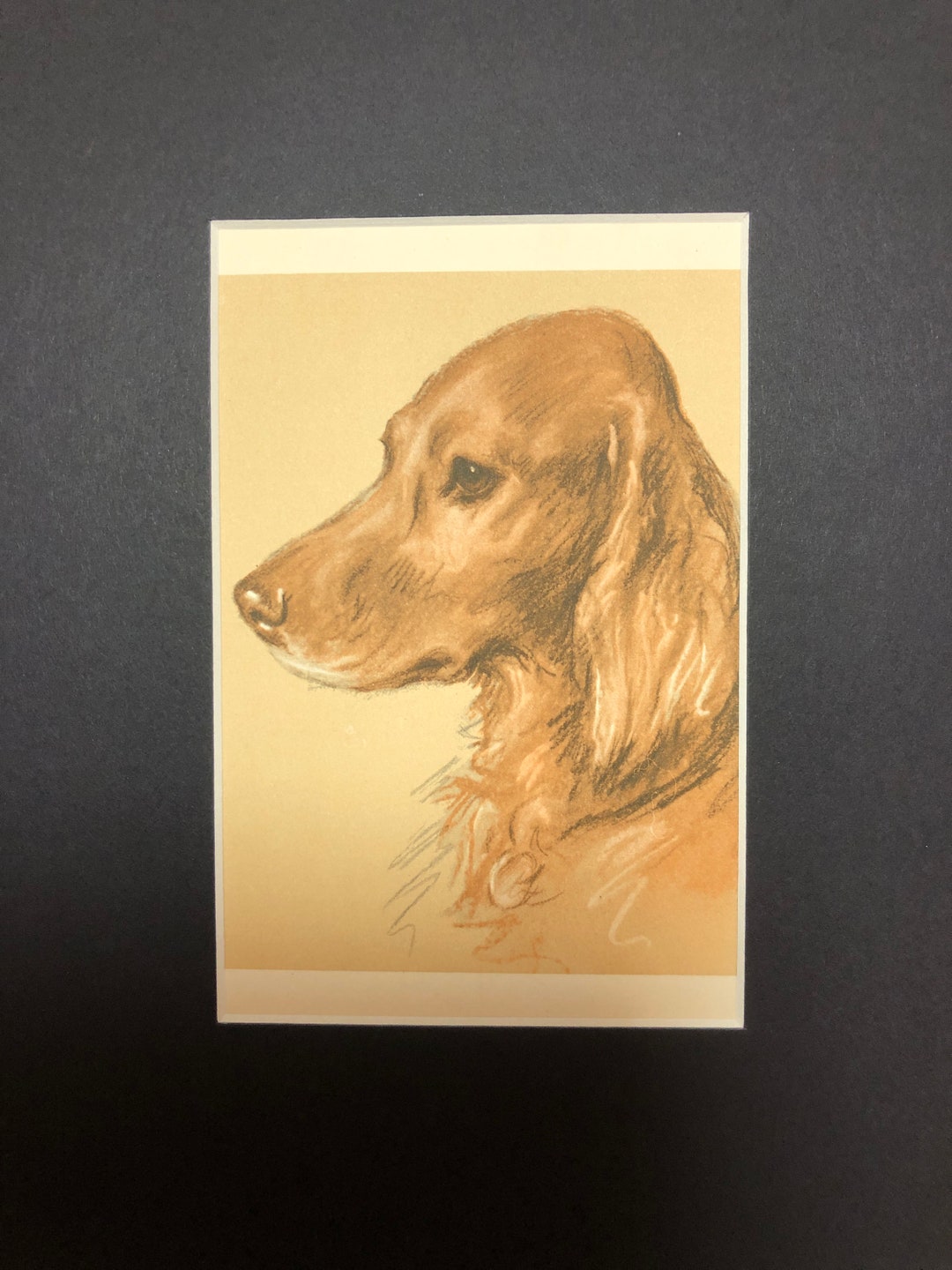 RED IRISH SETTER Vintage Mounted 1939 Lucy Dawson Mac Dog Plate Print ...