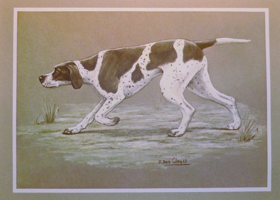 1968 POINTER Dog Vintage original Jacqueline des Clayes | Etsy
