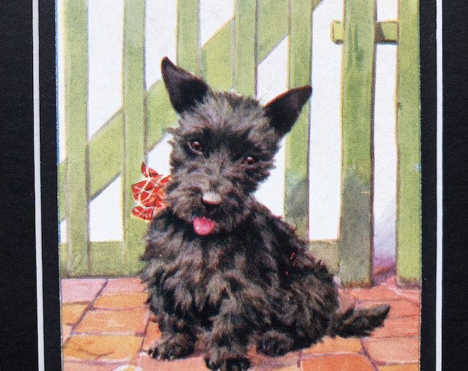 FLORENCE E VALTER Scottish Terrier Scottie Dog Vintage Signed Valentine ...