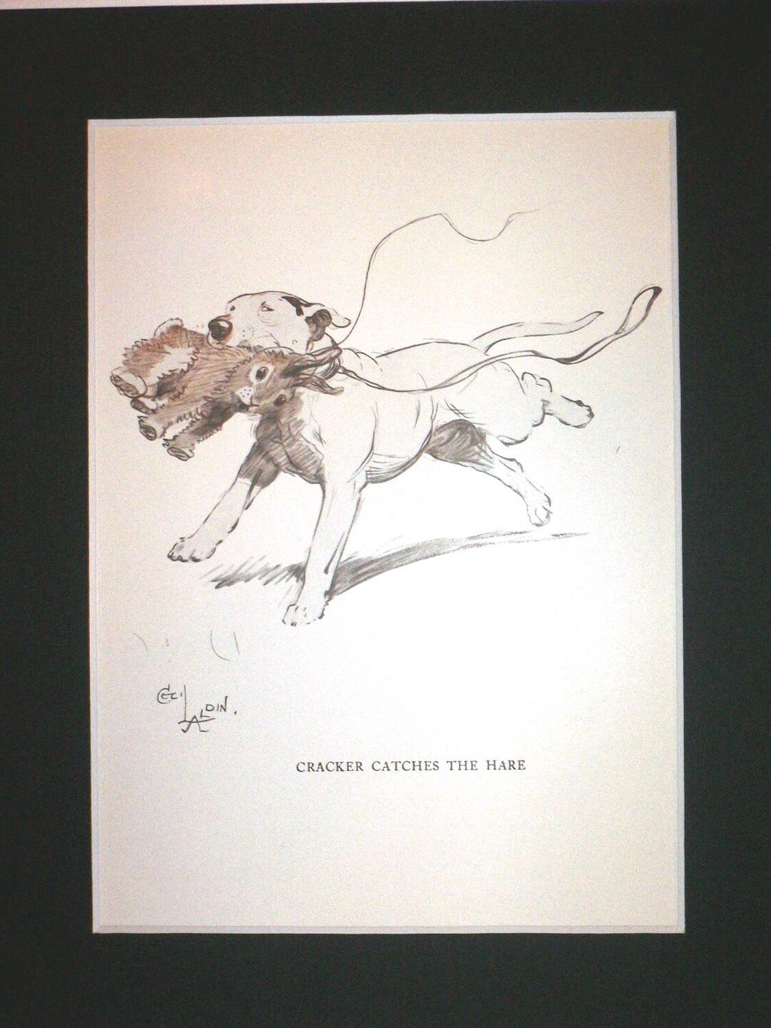 BULL TERRIER 1930 Cecil Aldin Cracker Catches the Hare - Signed Mounted ...