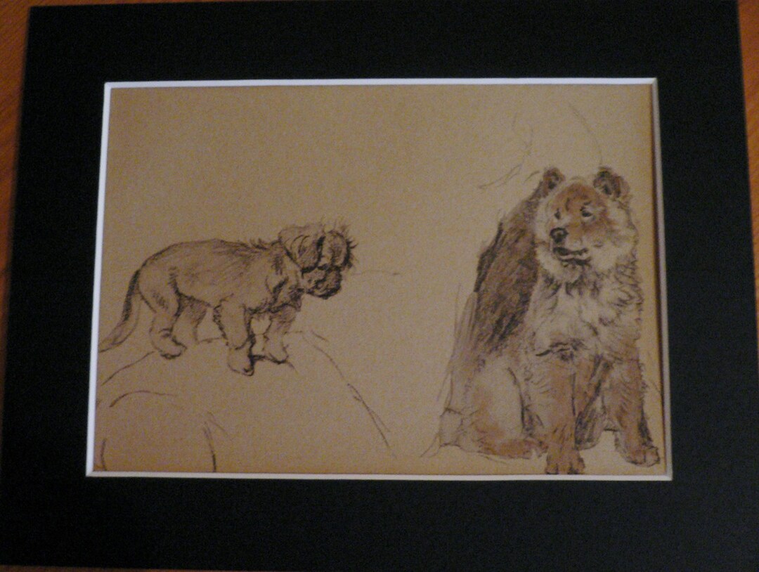 Vintage Mounted 1935 Cecil Aldin Chow Chow and Pekingese Puppy Dog ...
