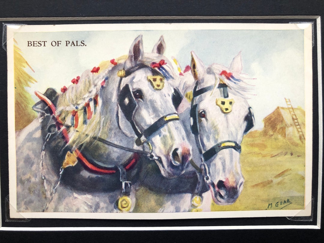MABEL GEAR Horse Pony Vintage Signed Valentine & Sons HORSE Studies ...