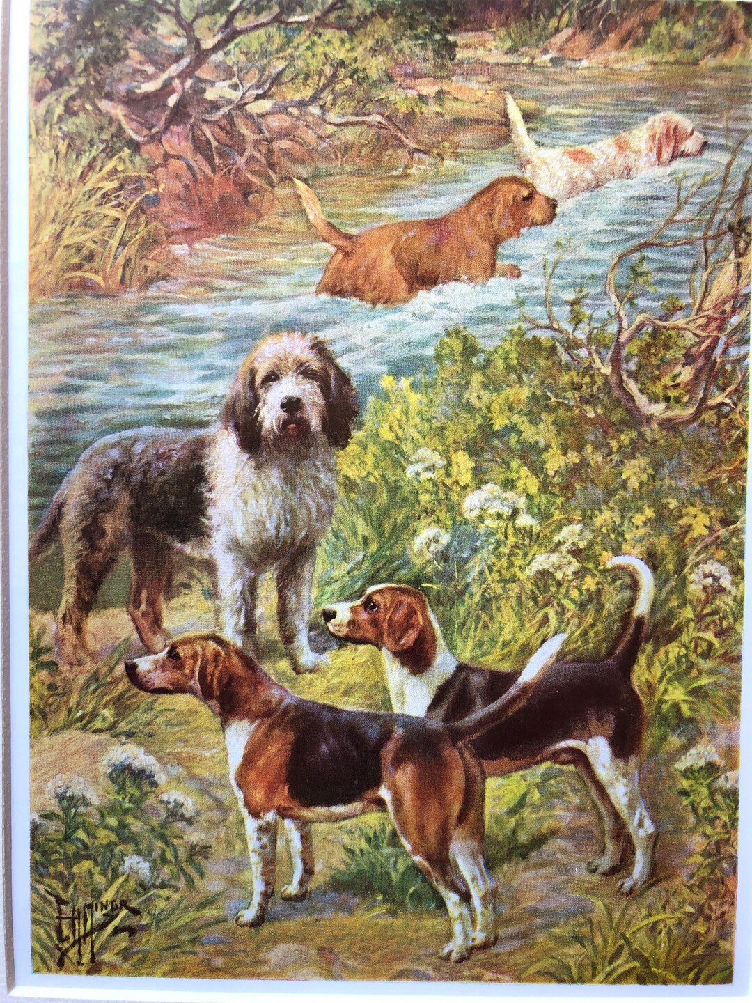 This item is unavailable - Etsy