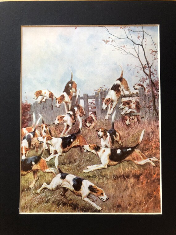 Beagle Hunting Fox