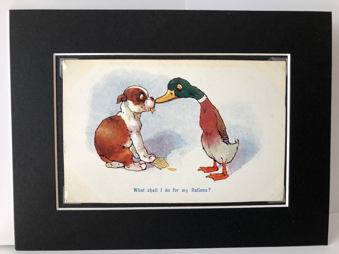 Vintage Dog Postcard C W Faulkner Series Comic Boxer Dog With Duck ...
