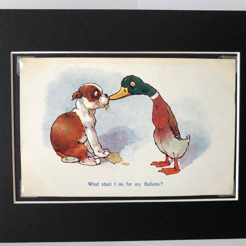 Dog Postcard - Etsy