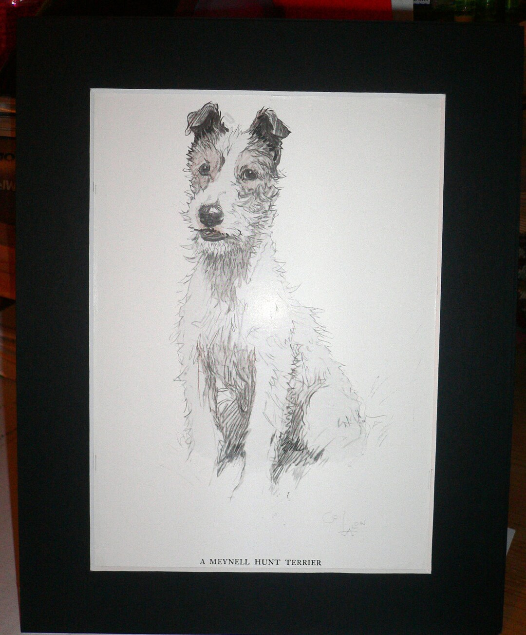 MEYNELL Hunt TERRIER Vintage Signed Mounted 1930s Cecil Aldin Terrier ...