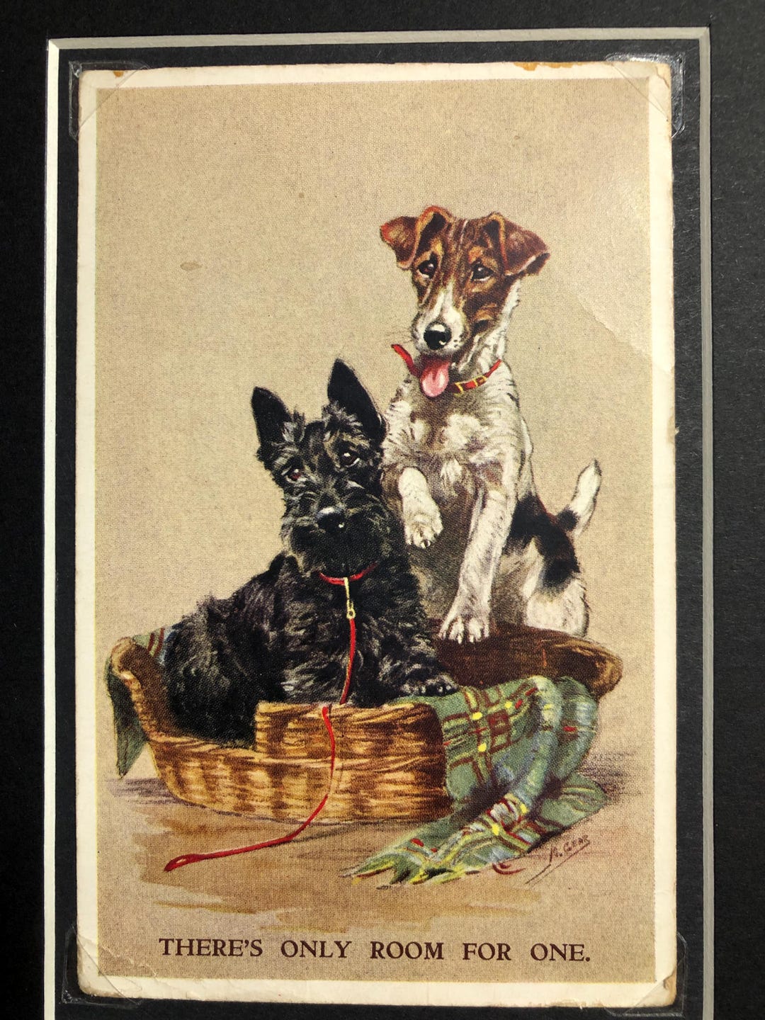 MABEL GEAR SCOTTIE 1930s Scottish Terrier Wire Haired Dog Valentine ...