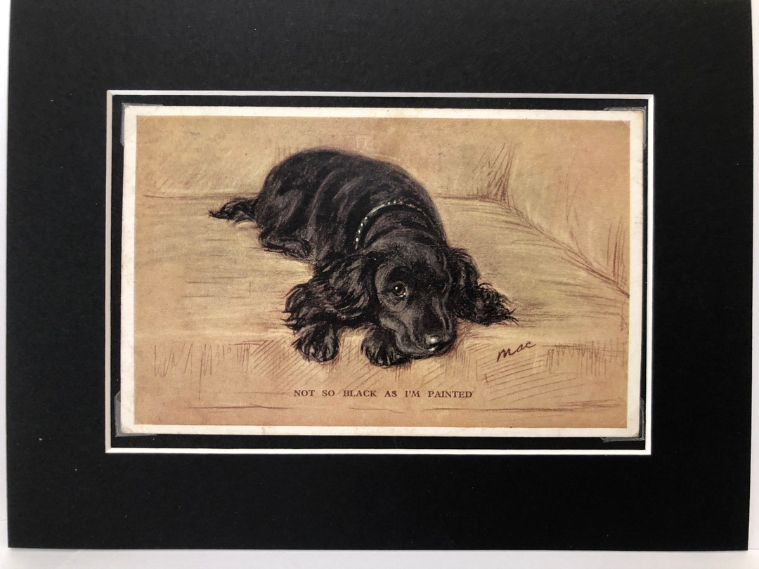 1930s Cocker Spaniel VALENTINE TAILWAGGER Vintage Lucy Dawson Mac No ...
