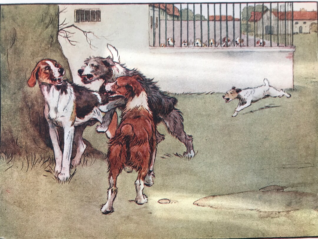 1912 FOX TERRIER Peter Signed Cecil Aldin Fox Hunting Pack Hound Dogs ...