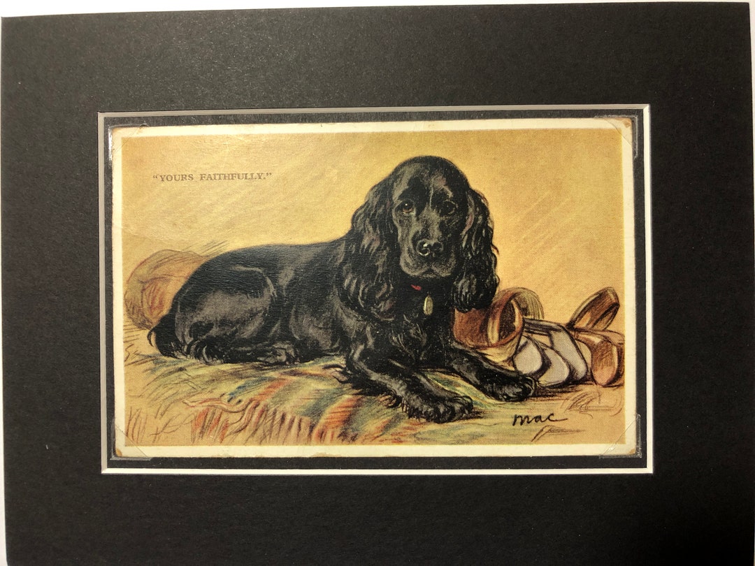 1930s Cocker Spaniel VALENTINE TAILWAGGER Vintage Lucy Dawson Mac No ...