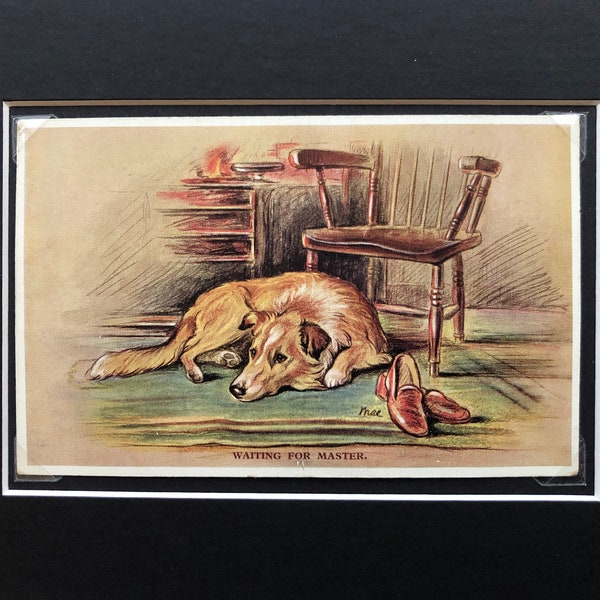 Vintage Dog Postcard - Etsy