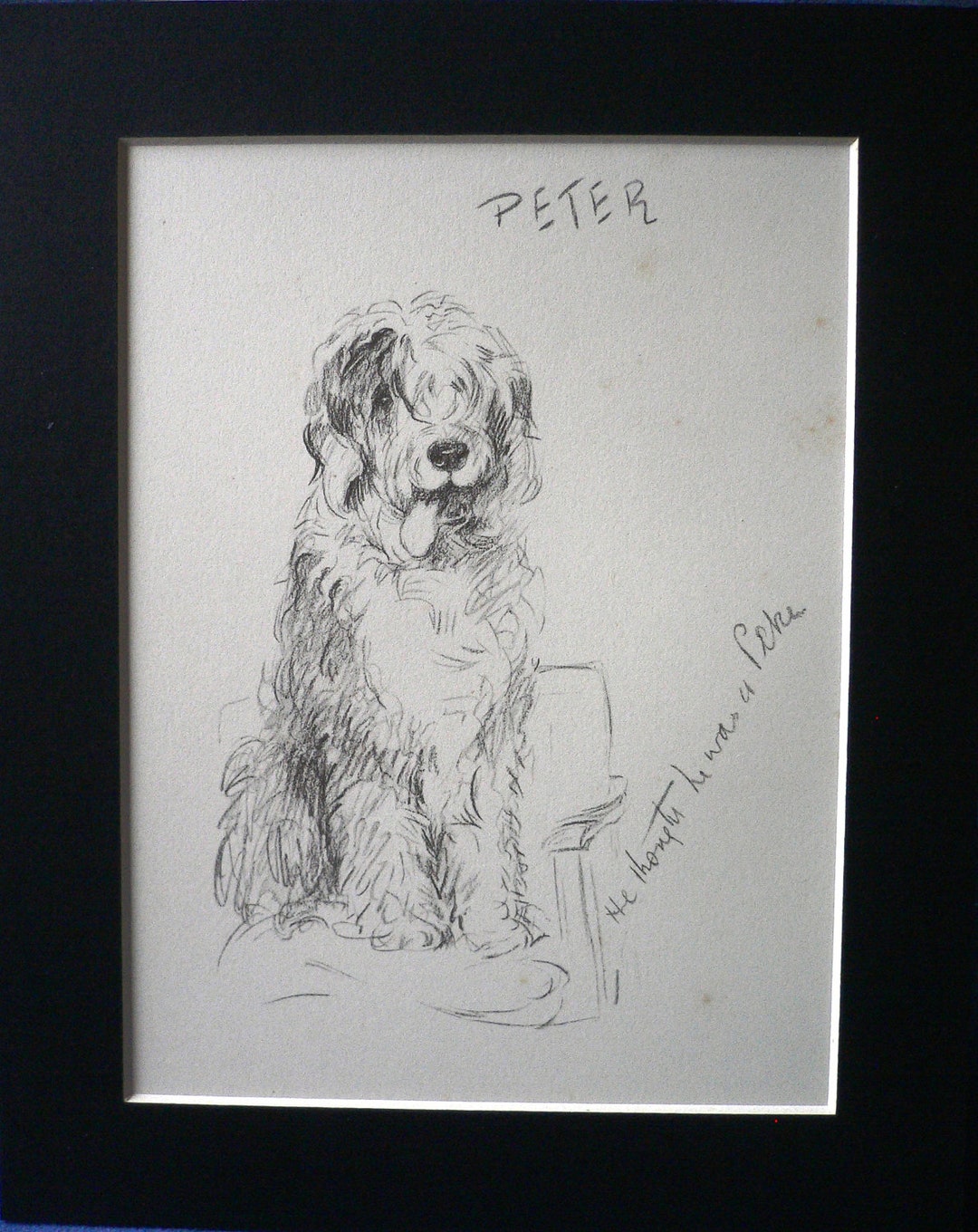 Vintage Sheepdog Print, Lucy Dawson 'mac', Matted Dog Art (1937) - Etsy