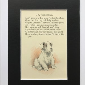 1930 G L STAMPA Sealyham Terrier Dog the Newcomer Poem Print ...
