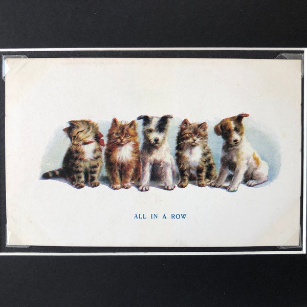 Vintage Dog Postcard - Etsy