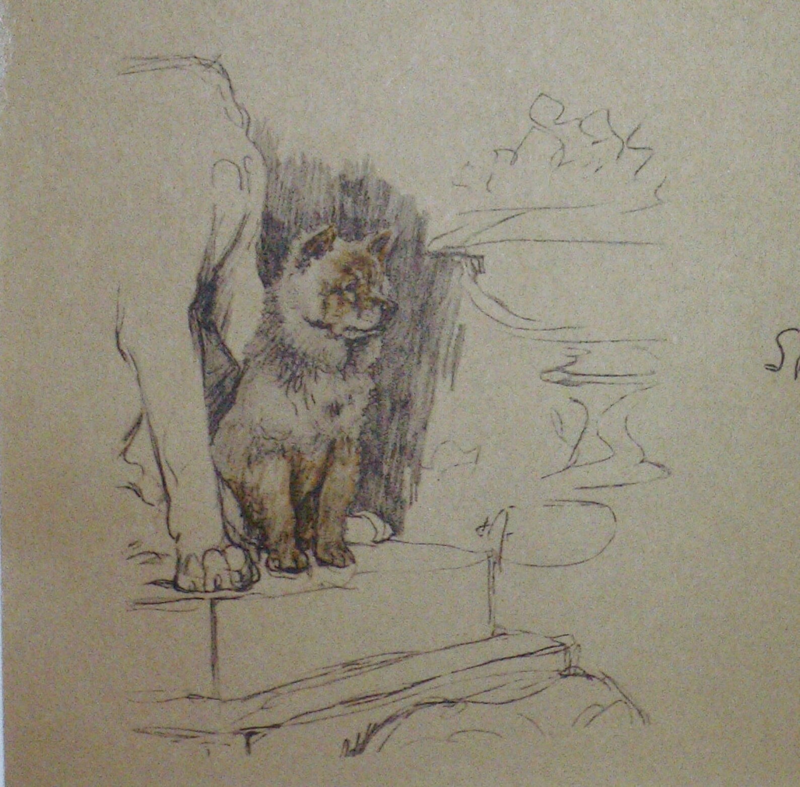 Vintage Cecil Aldin Chow Chow Dog Print, Matted 1935 Book Plate - Etsy
