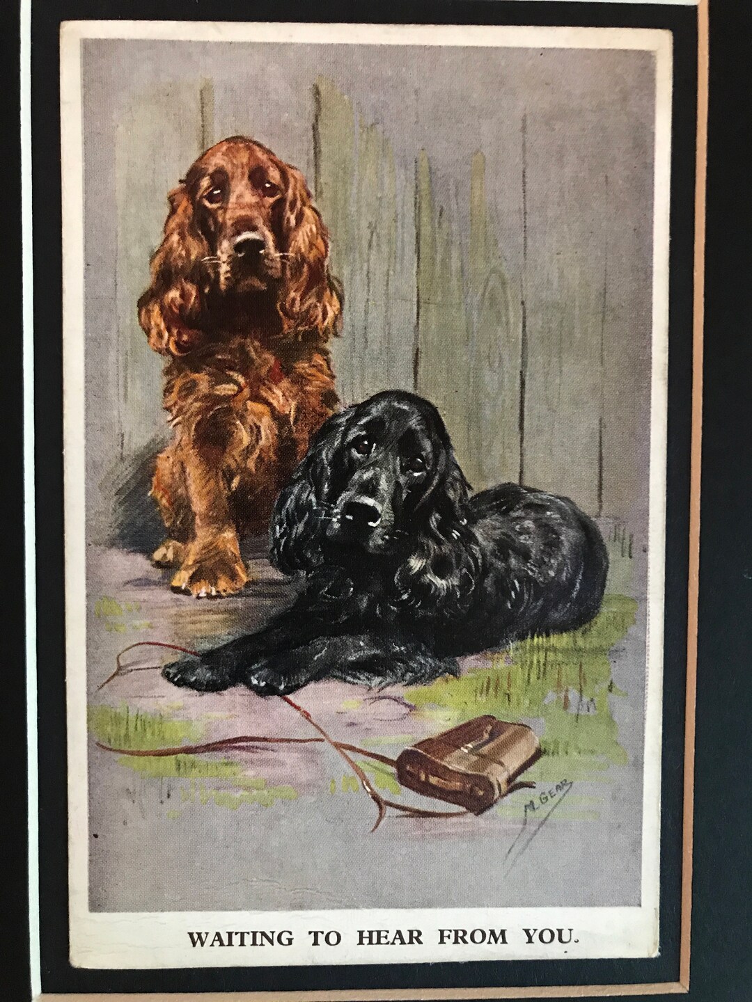 COCKER SPANIEL POSTCARD Mabel Gear Vintage N0o. 3581 Valentines ...