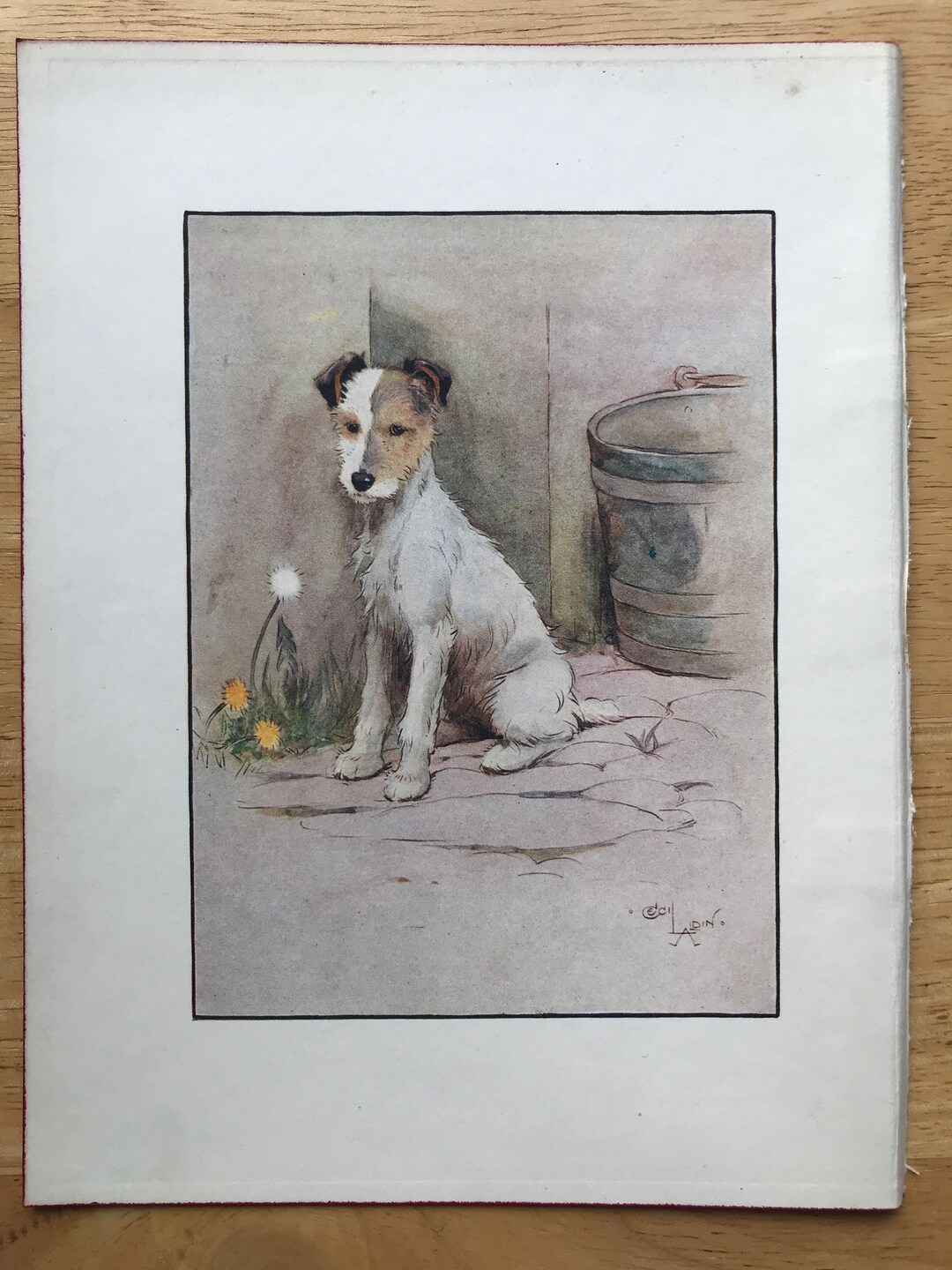 1912 FOX TERRIER Peter Signed Cecil Aldin Fox Hunting Dog Plate Print ...