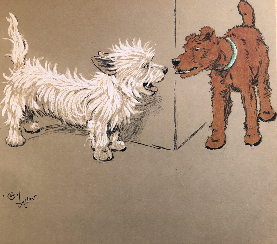 1912 WEST Highland Irish TERRIER Dog Adventures Signed Cecil Aldin ...