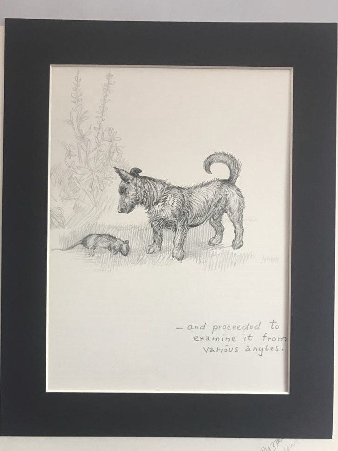 SCOTTISH Aberdeen terrier dog corgi mix Vintage montado K F - Etsy España