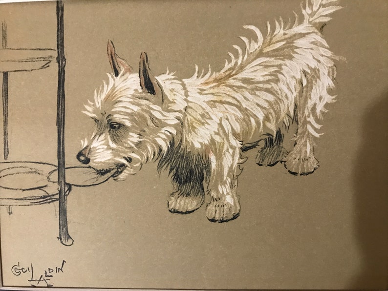 1912 WEST Highland TERRIER Dog Signed Mounted Stealing Food Cecil Aldin ...