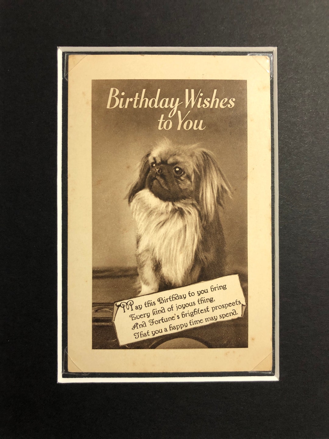 1930s Vintage Happy Birthday PEKINGESE PEKINESE Peke Dog Postcard ...