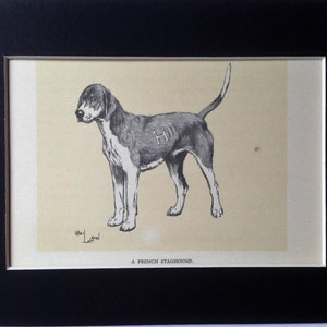 STAG HOUND Hunting DOG Signed Mounted 1928 Cecil Aldin Collie Dog Plate ...