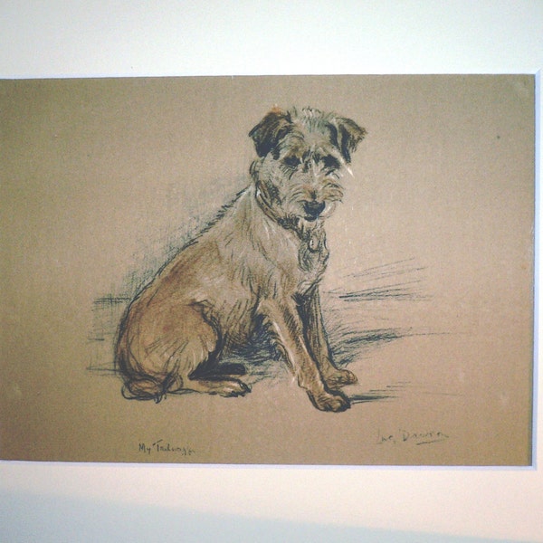 Jack Russell Terrier - Etsy