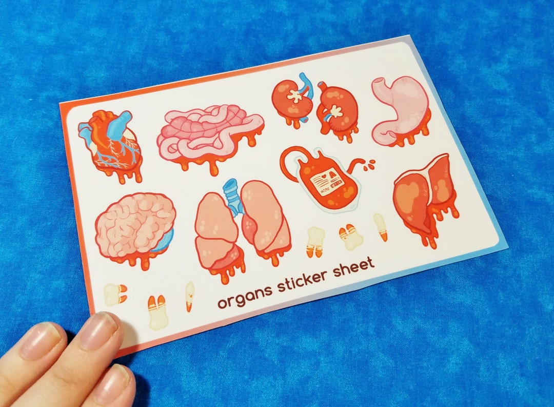 Organs Sticker Sheets - Etsy