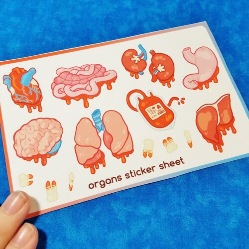 Organs Sticker Sheets | Etsy