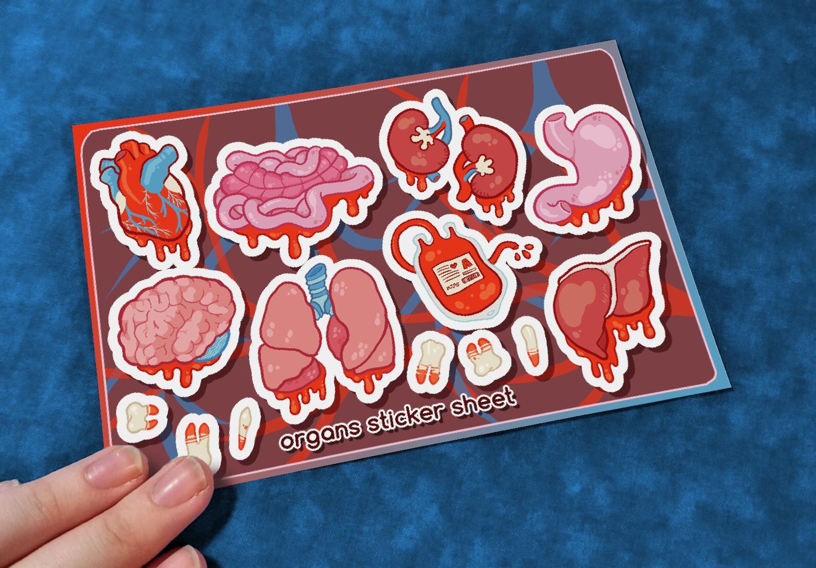 Organs Sticker Sheets - Etsy