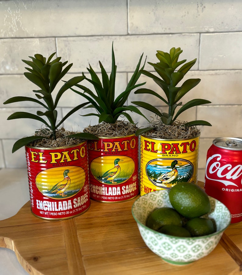 Faux Succulent in El Pato Can: Mexican Food, Kitchen Decor, Centerpiece ...