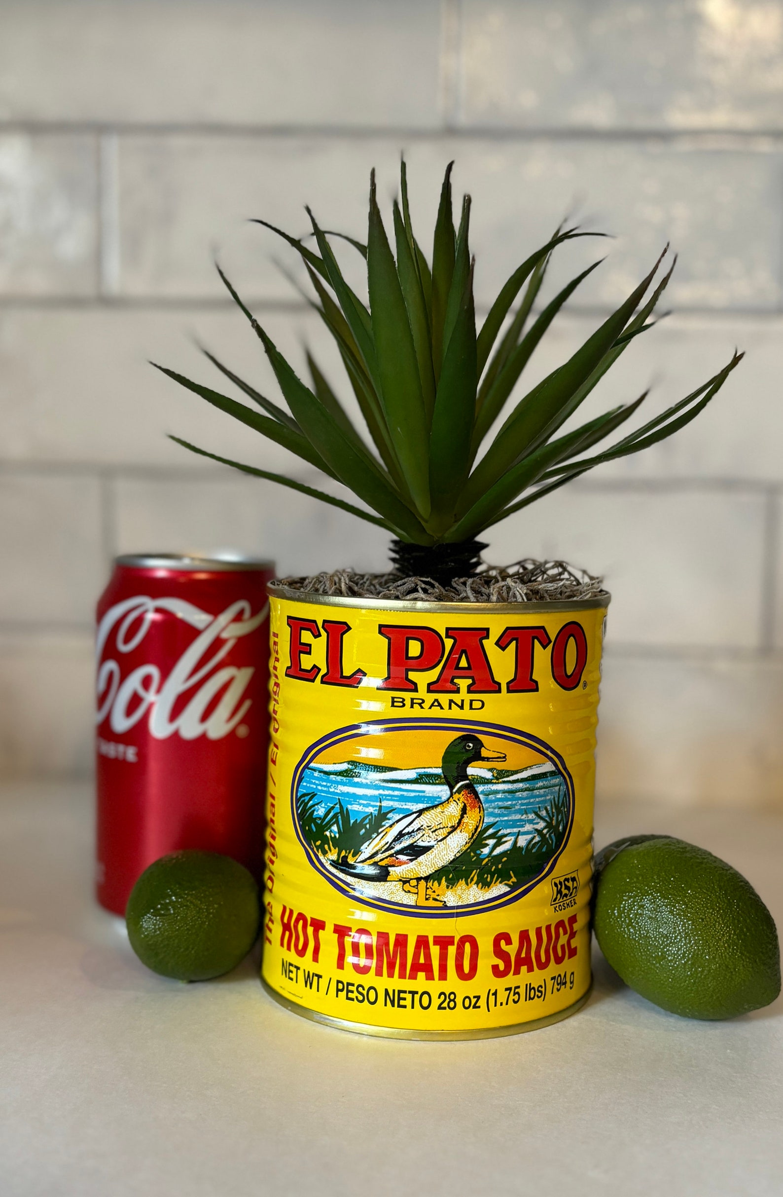 Faux Succulent in El Pato Can: Mexican Kitchen Decor, Centerpiece - Etsy