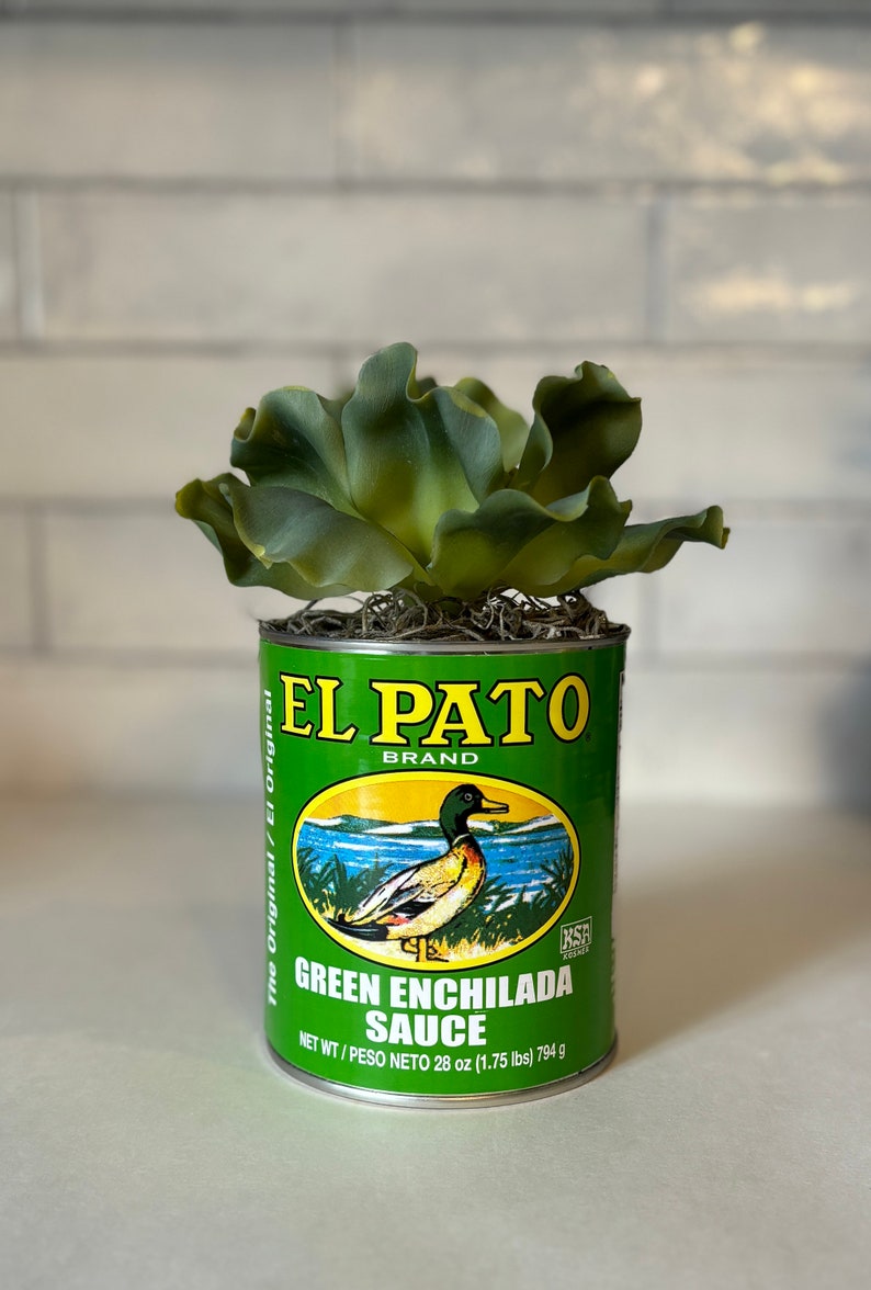 Faux Succulent in El Pato Can: Mexican Kitchen Decor, Centerpiece - Etsy